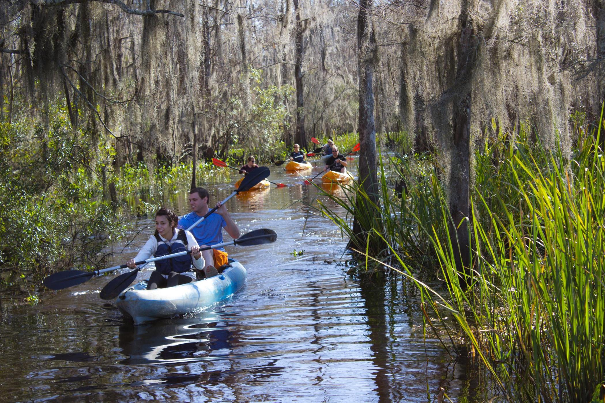 Swamp Kayak Adventures | Admire New Orleans